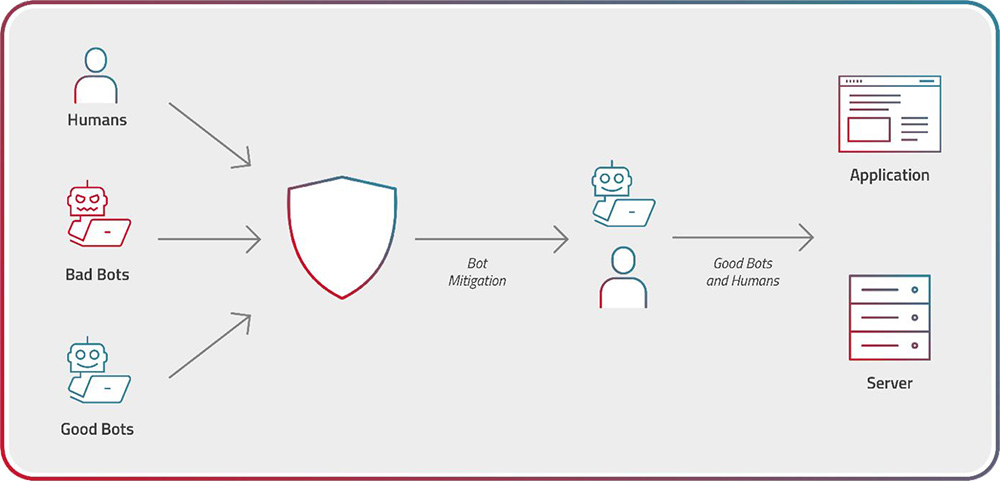 What is Bot Management and How Does it Work? | Radware What is Bot Management and How Does it Work? | Radware